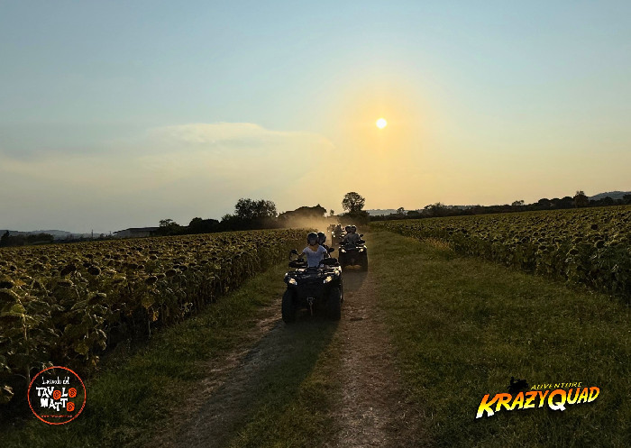 krazy quad escursioni